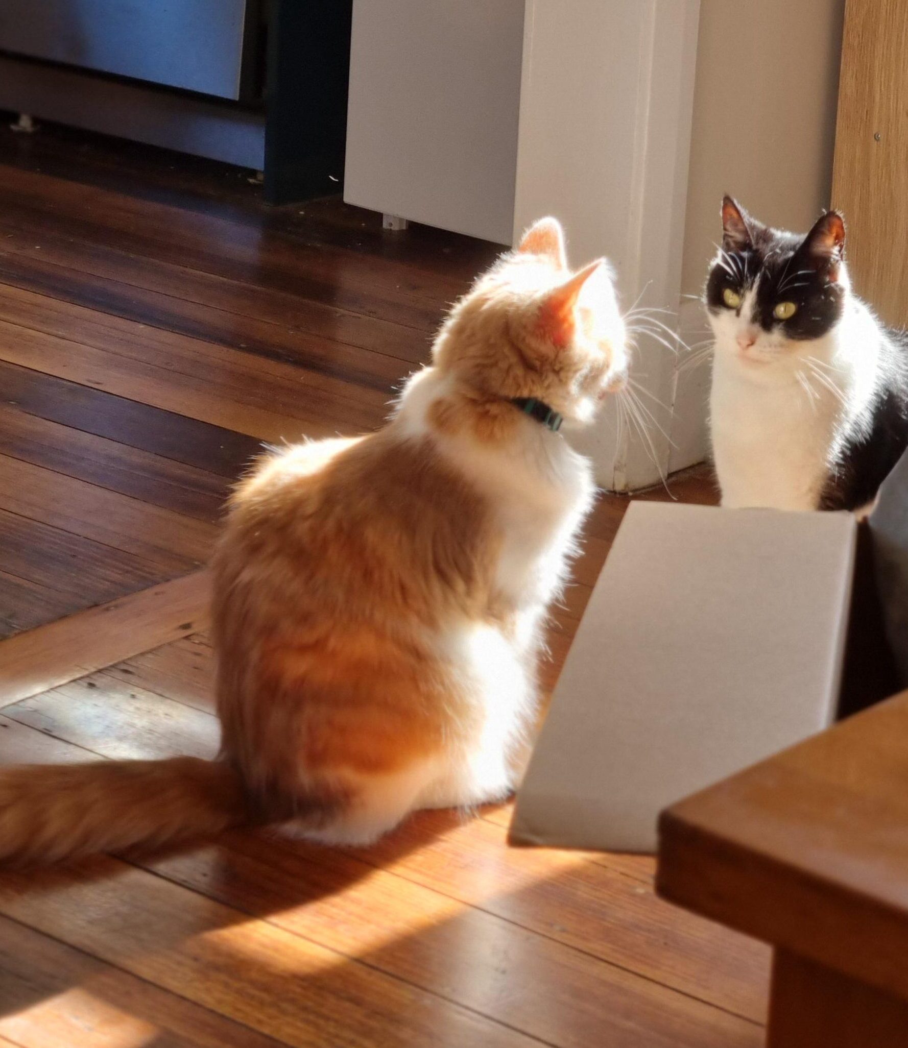 Parę słów o konferencji - CATS